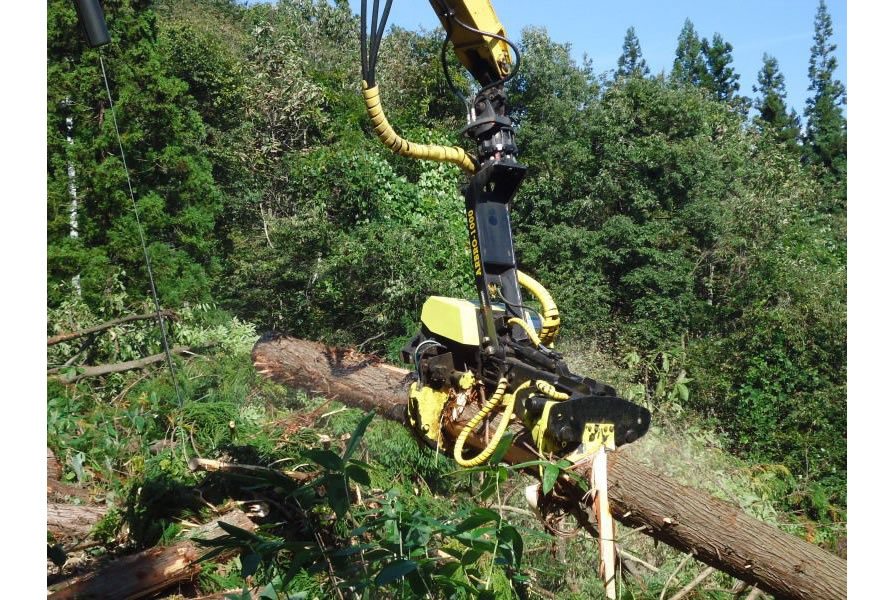 Cabezales forestales Afm AFM1000 - Vialfe