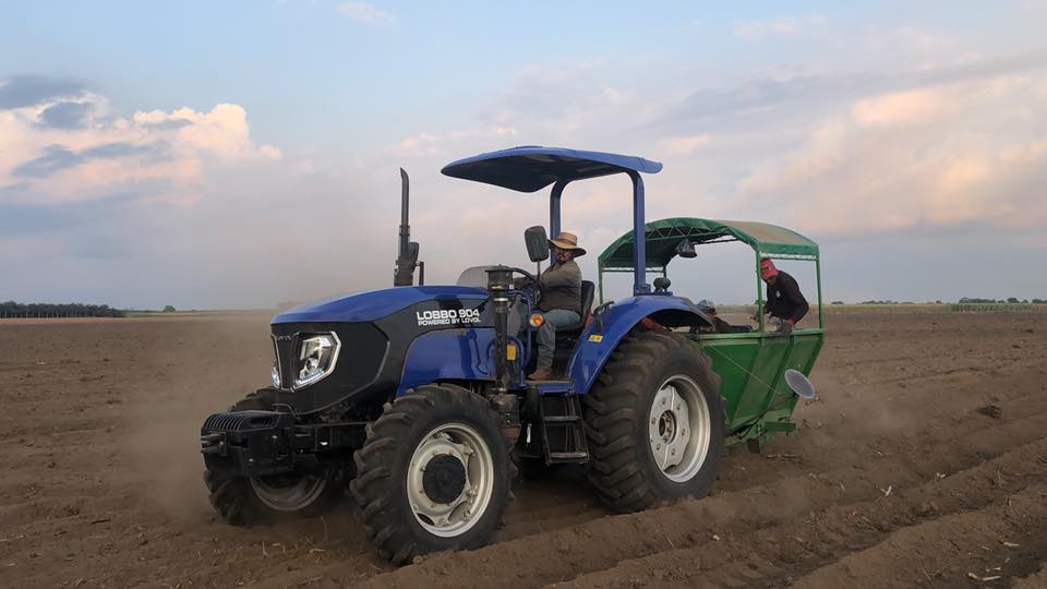 Tractores lovol TD904 - VialFe